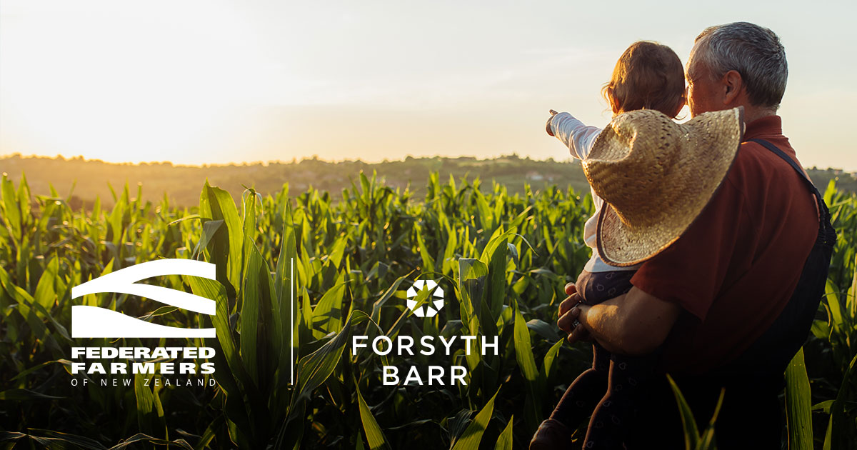 Forsyth Barr Investment Services